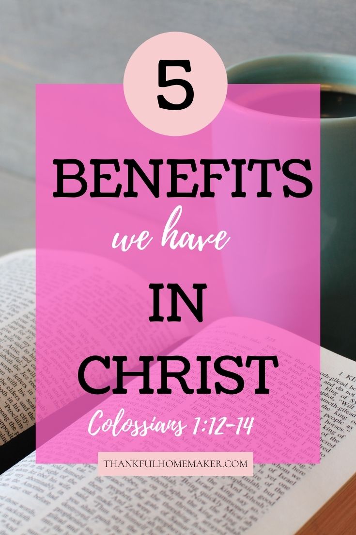 5 Benefits We Have in Christ - {Colossians 1:12-14} - Thankful Homemaker