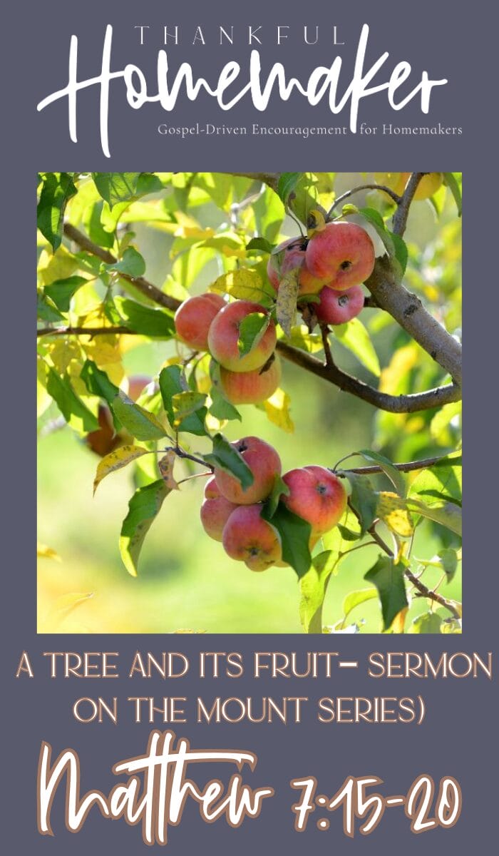 EP 146: A Tree and Its Fruit (Matthew 7:15-20 - Sermon on the Mount ...