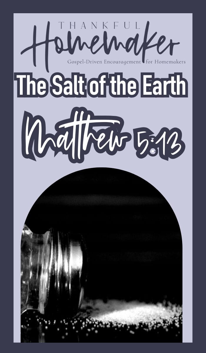 EP 106: The Salt of the Earth (Sermon on the Mount Series - Matthew 5: ...