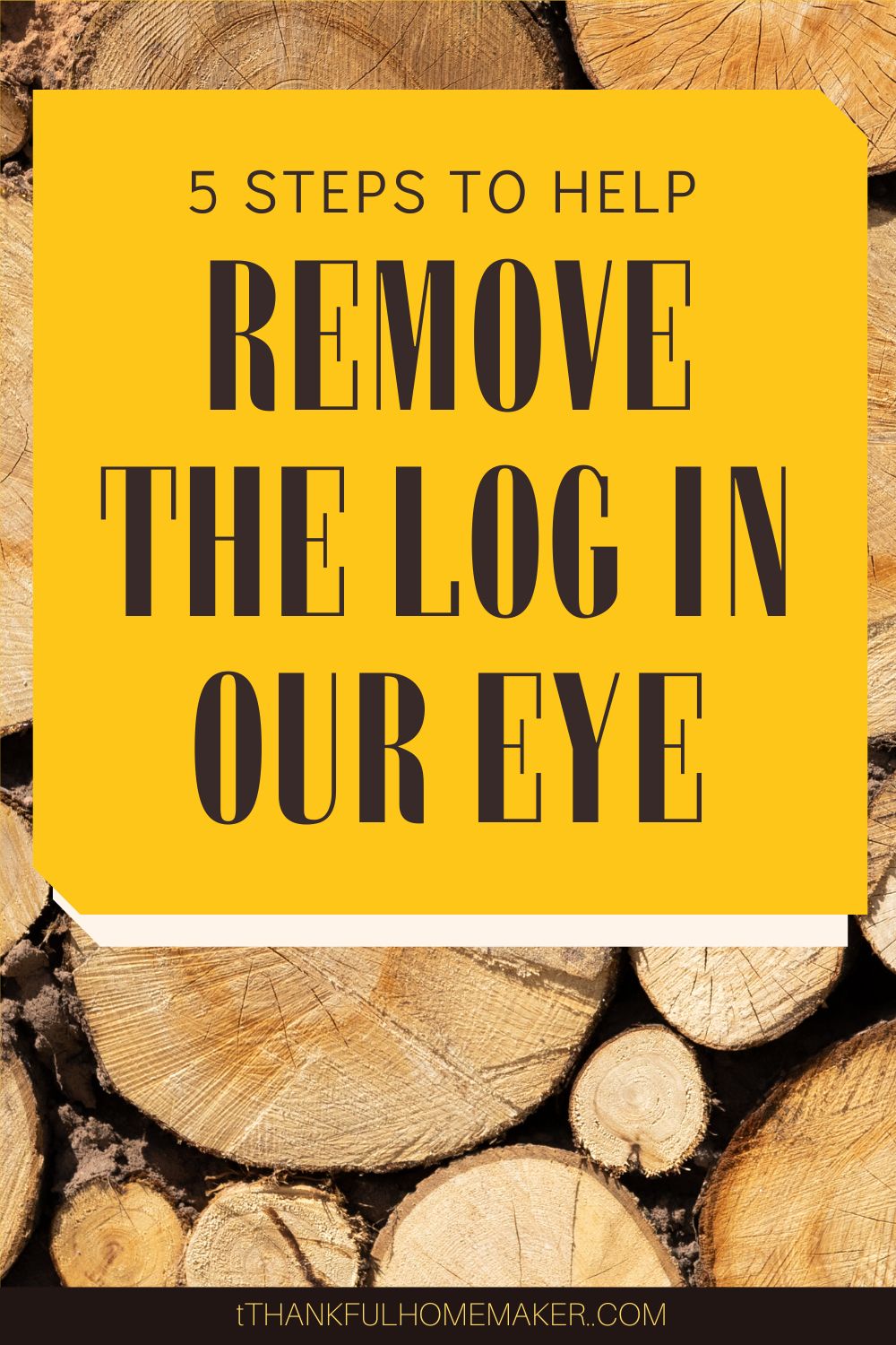 5 Steps to Help Remove the "Log " In Our Eye - Thankful Homemaker
